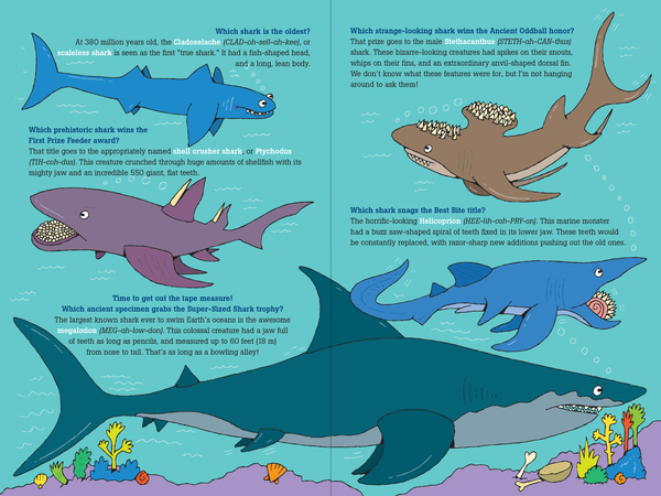 100 Questions About Sharks - Nantucket Kids
