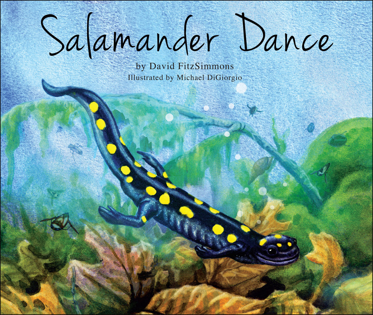 Salamander Dance-Signed Copy (Copy) – Nantucket Kids