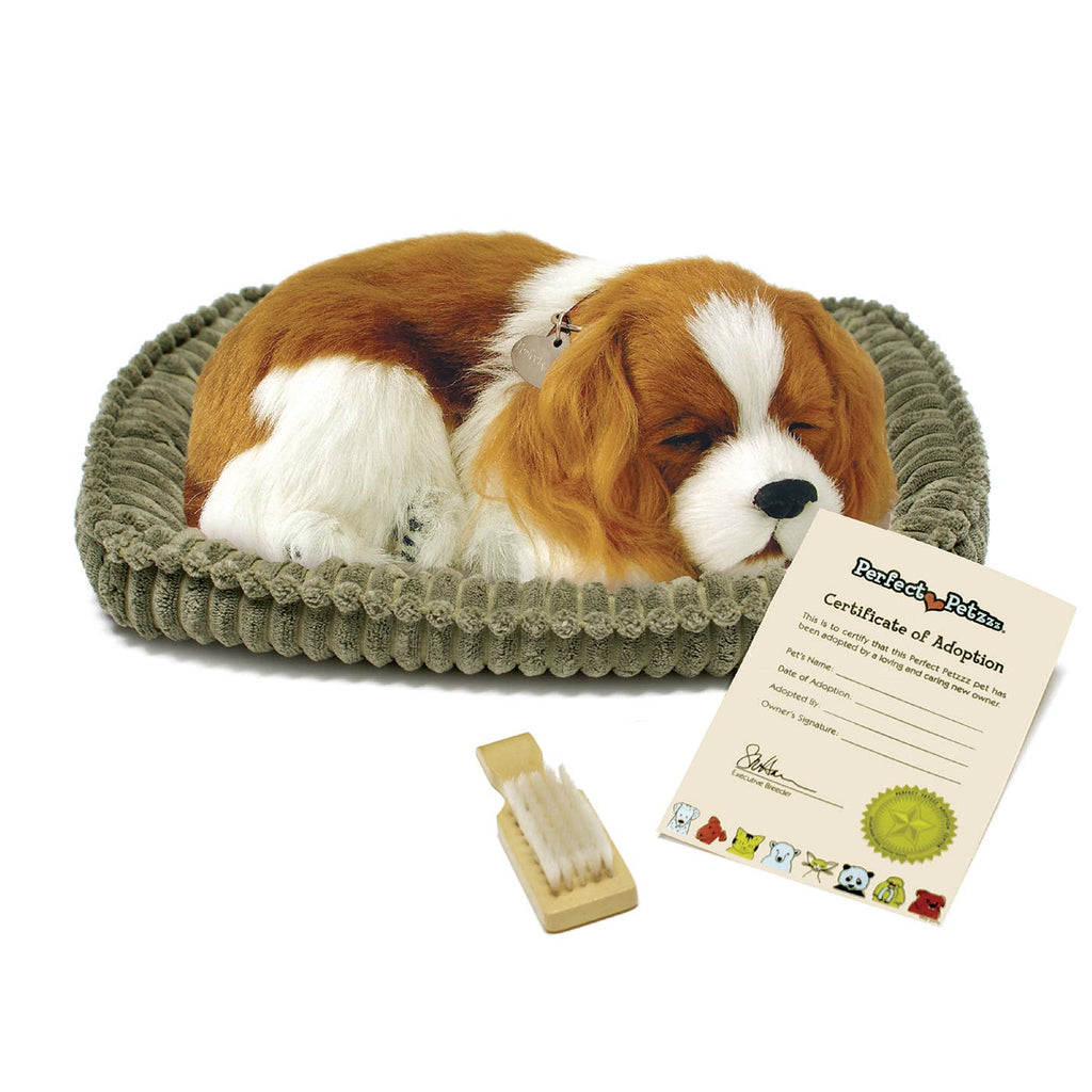 Perfect Petzzz Original - Cavalier King Charles - Nantucket Kids